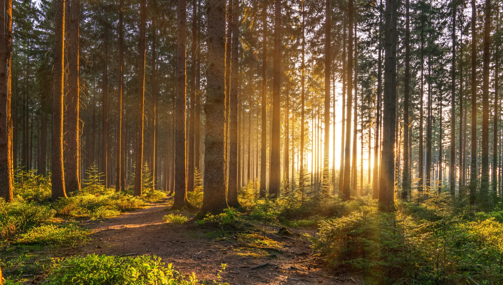 How Does TMS Help with Depression and Anxiety?